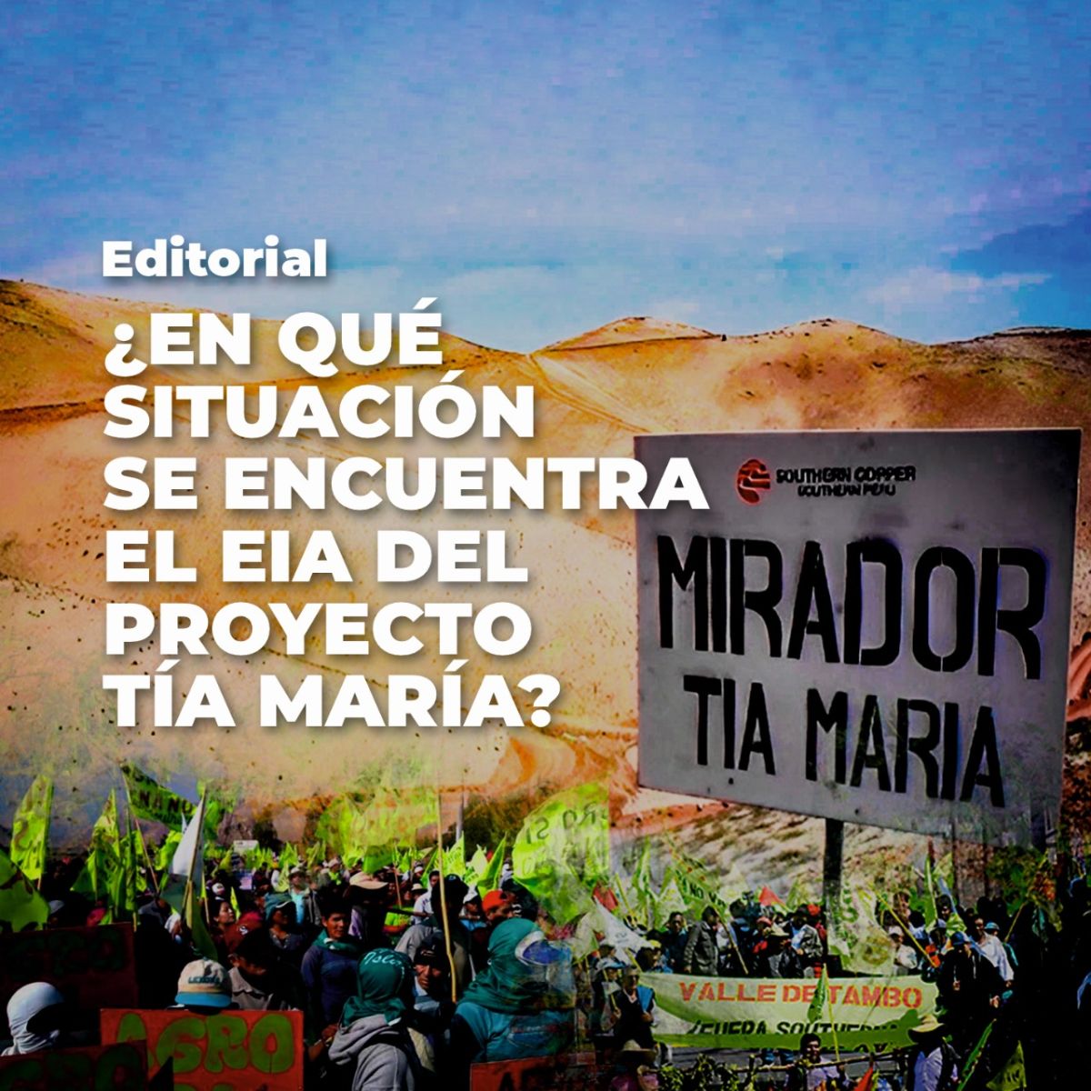 ¿EN QUÉ SITUACIÓN SE ENCUENTRA EL EIA DEL PROYECTO TÍA MARÍA ...